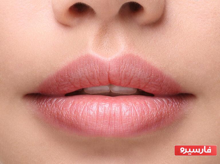 13 تا انواع مدل لب ها: شما کدام مدل لب را دارید؟ | فارسیرو